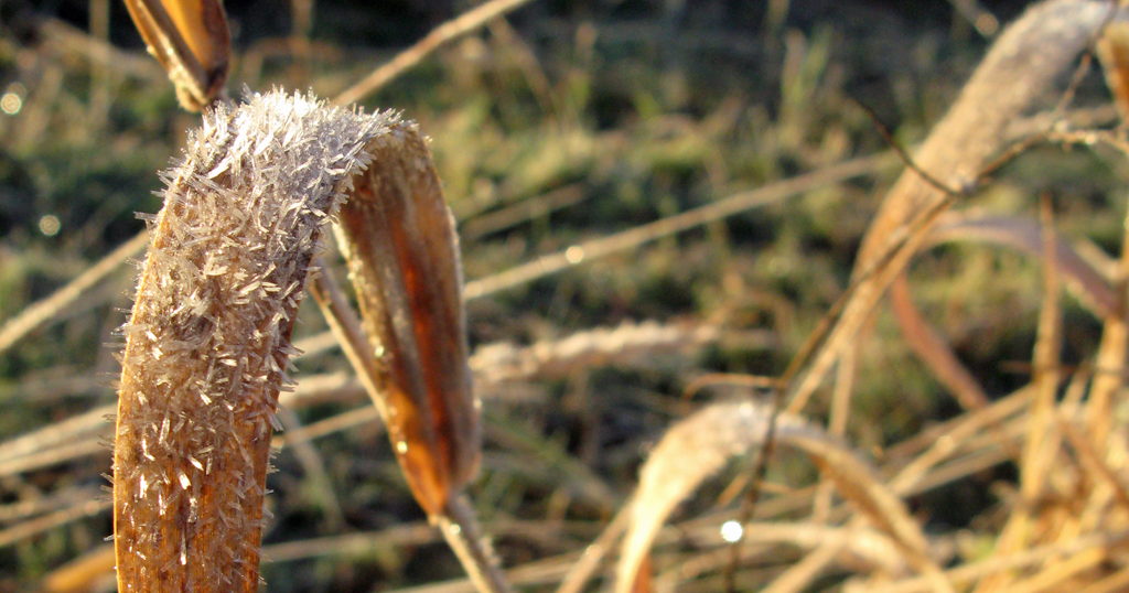 Shop Scythe Outfits and Scythe Accessories | Scythe Works